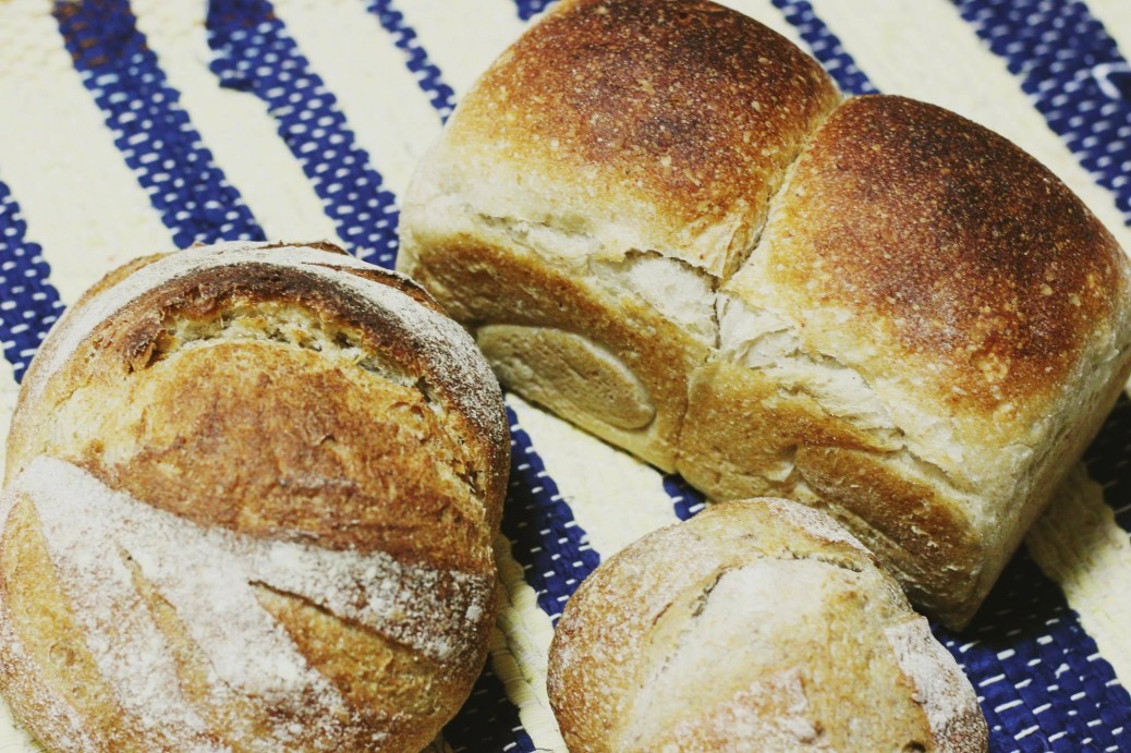 佐藤”kuma-chang”慶吾 & Comugiが語る “音楽に執着しないミュージシャンの新しい生き方” - アースガーデン